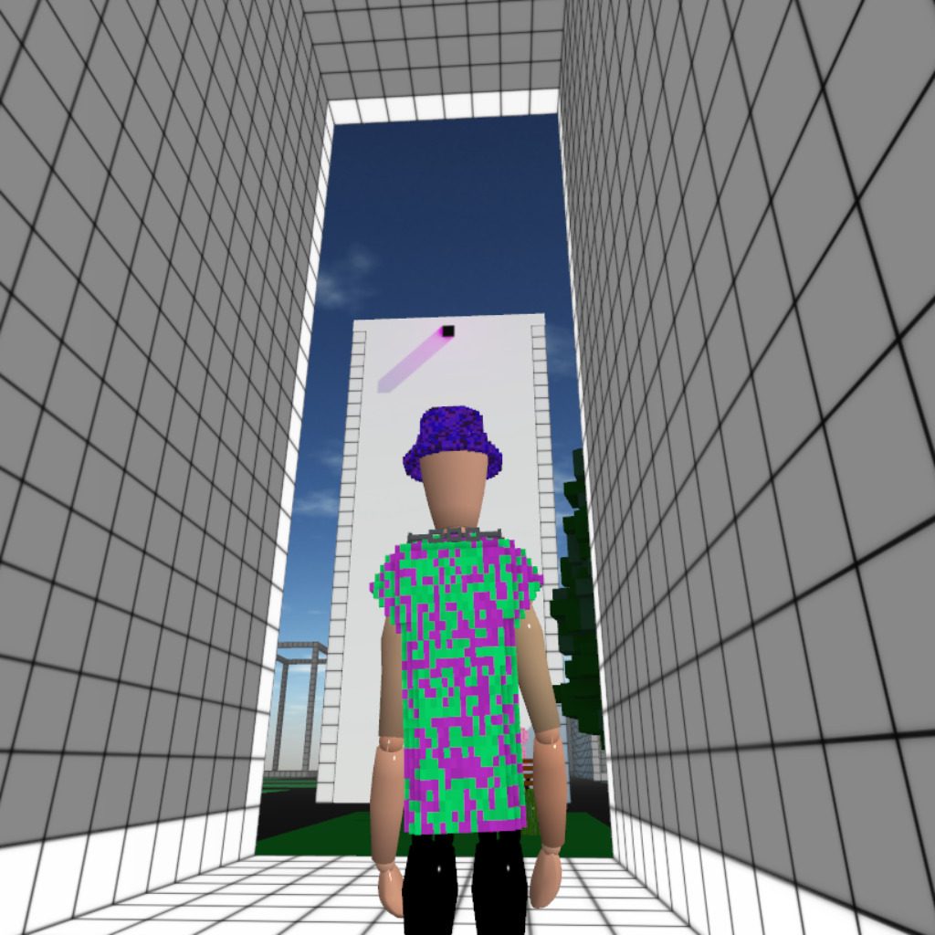 Captured by AntonSiena | Voxels