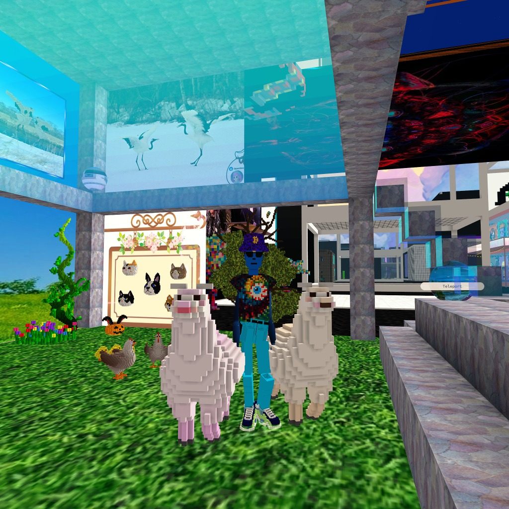 Voxels