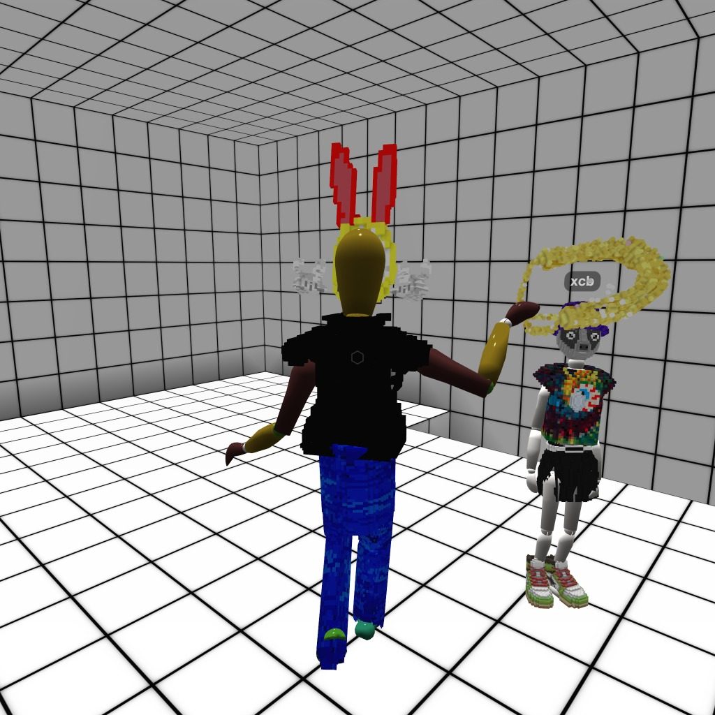 Voxels