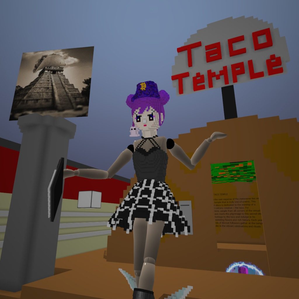 Captured by yumika | Voxels