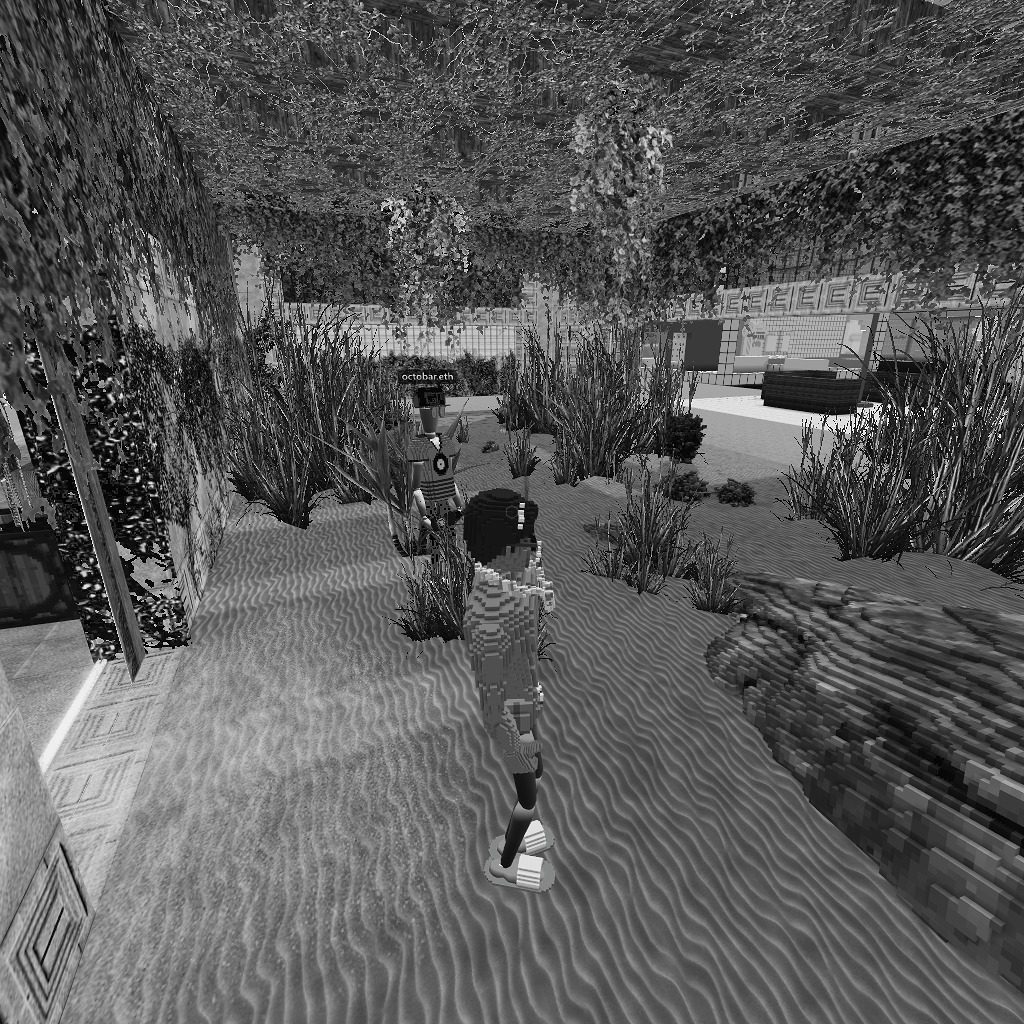 Voxels