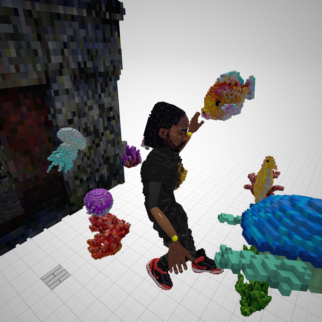 Captured by FlexxLucre | Voxels