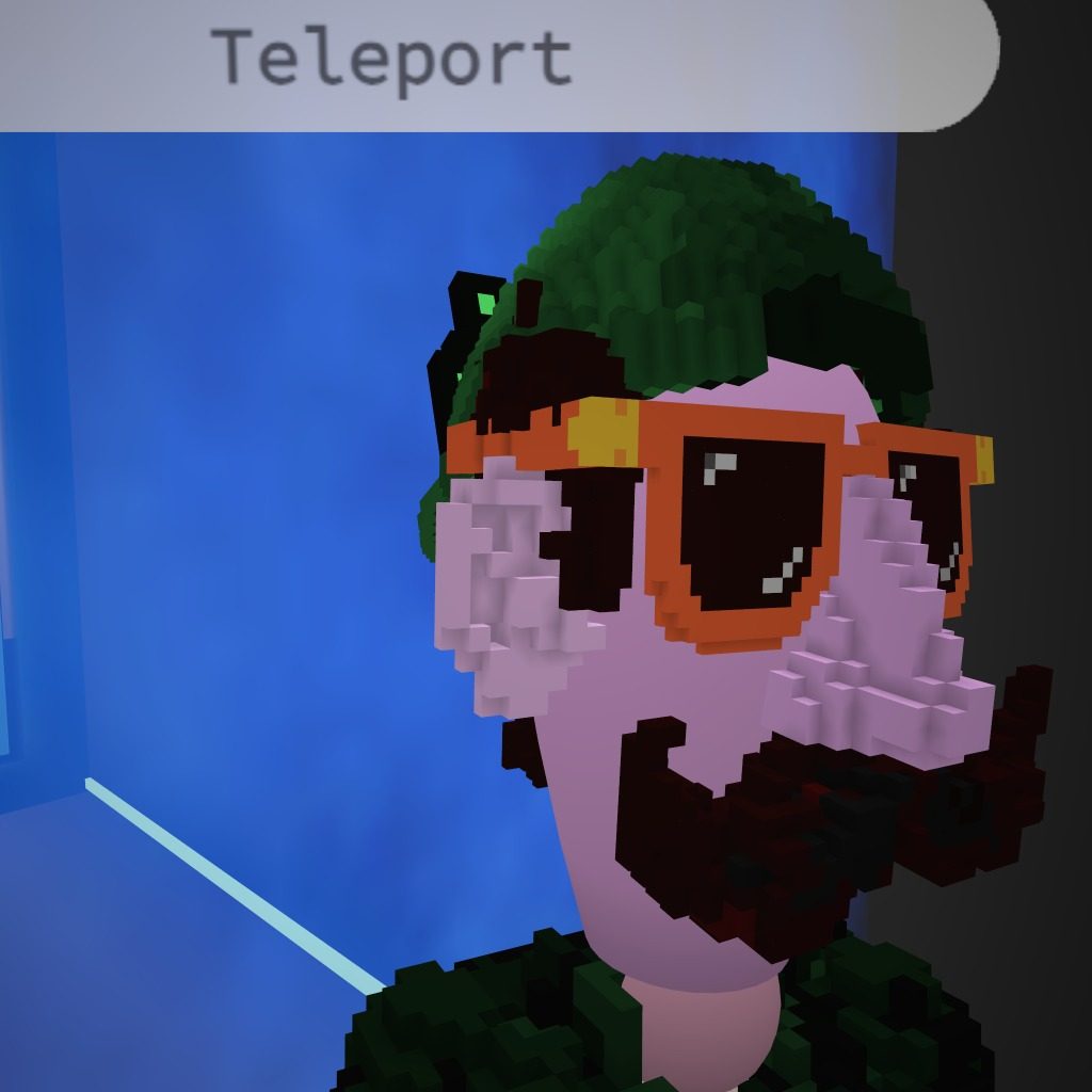 Captured by GhostAgent | Voxels